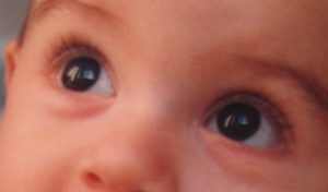 Infant's Vision Development from A to Z | EYExan.com