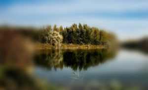 Blurry Peripheral Vision: Causes and Treatment | EYExan.com